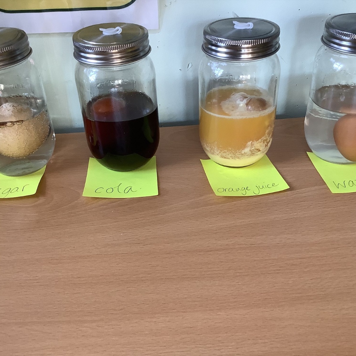 Dosthill Primary Academy - Year 4 Investigates Effects of Liquids on Teeth